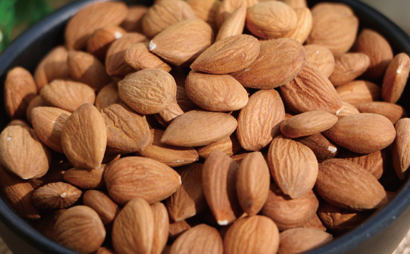 Amandes amères d'abricot bio anti cancer naturel puissant - Amande bio